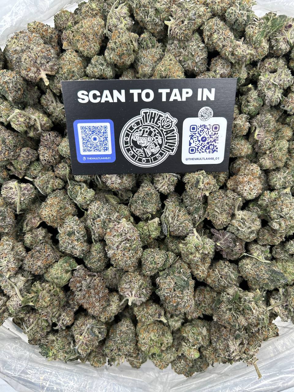 WHITE RHINO RUNTZ – The Vault LA